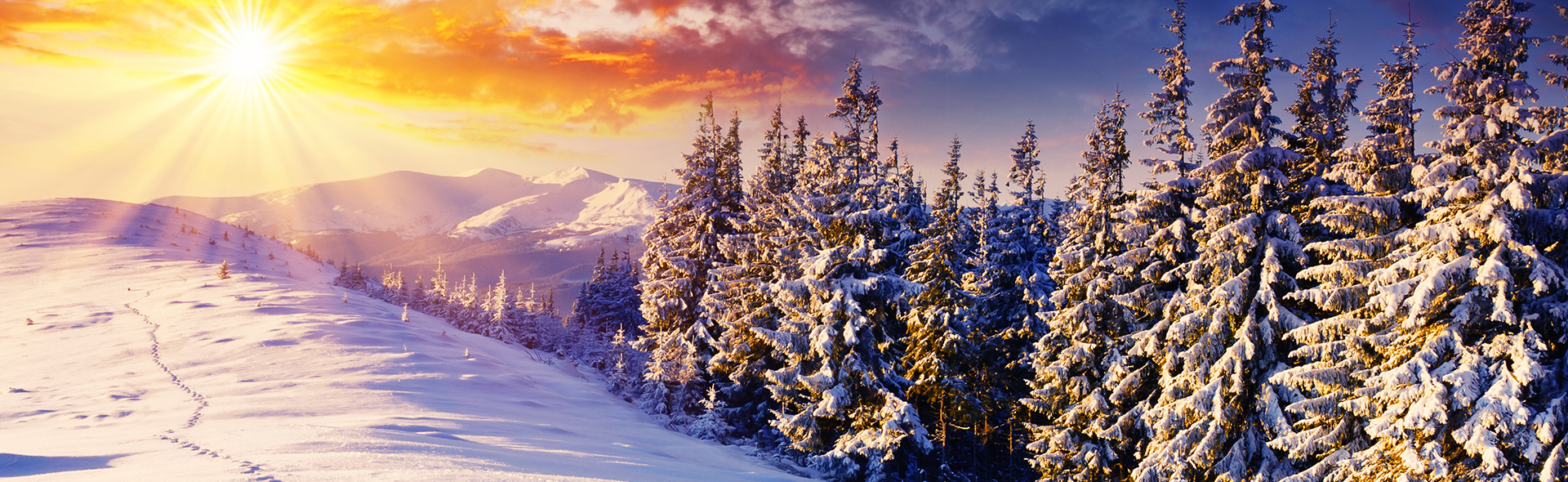 Zimovanje u Bugarskoj - Discovery Travel | Bansko | Borovec | Pamporovo